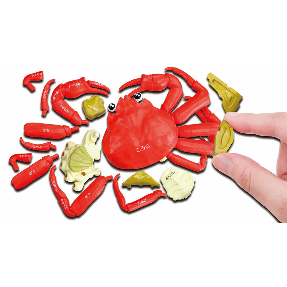 Crab Puzzle