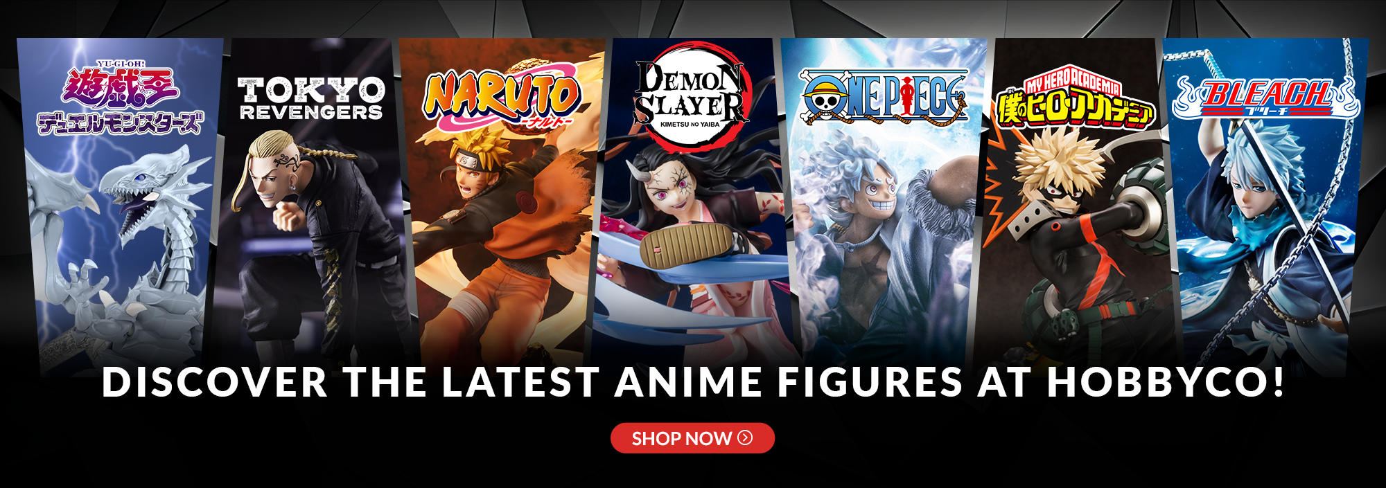 Hobbyco Est.1935 | Australia's Best Hobby Shop