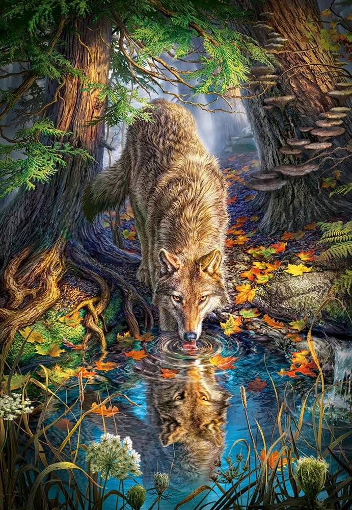 Castorland 1500pc Wolf In The Wild Puzzle | Hobbyco - Est.1935