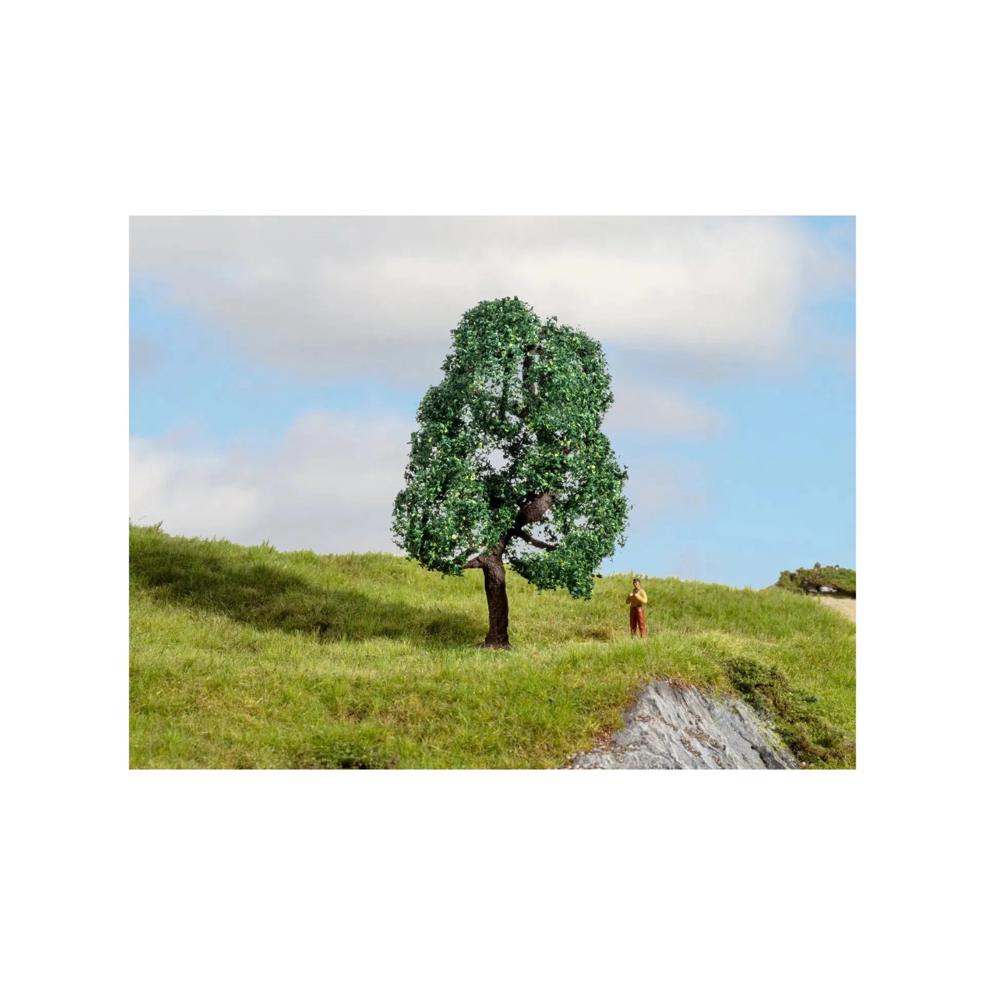 Noch Noch HO Oak | Hobbyco - Est.1935