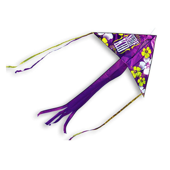 Didakites Surf Kid Delta Kite