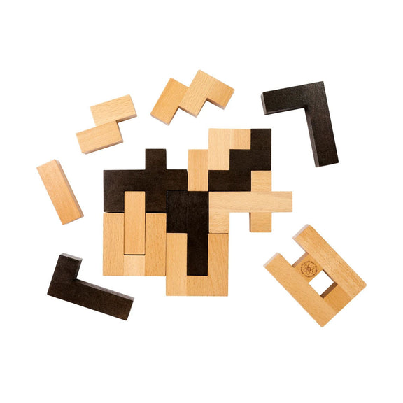 Professor Puzzle The Einstein Collection Letter Block Puzzle – Hobbyco